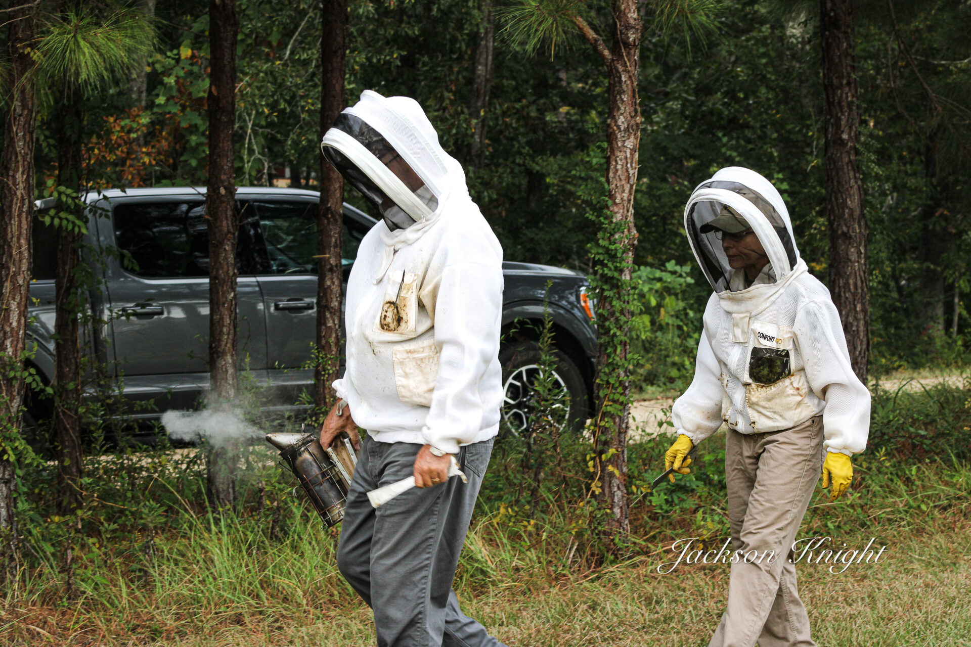 Bees of Cornwallis